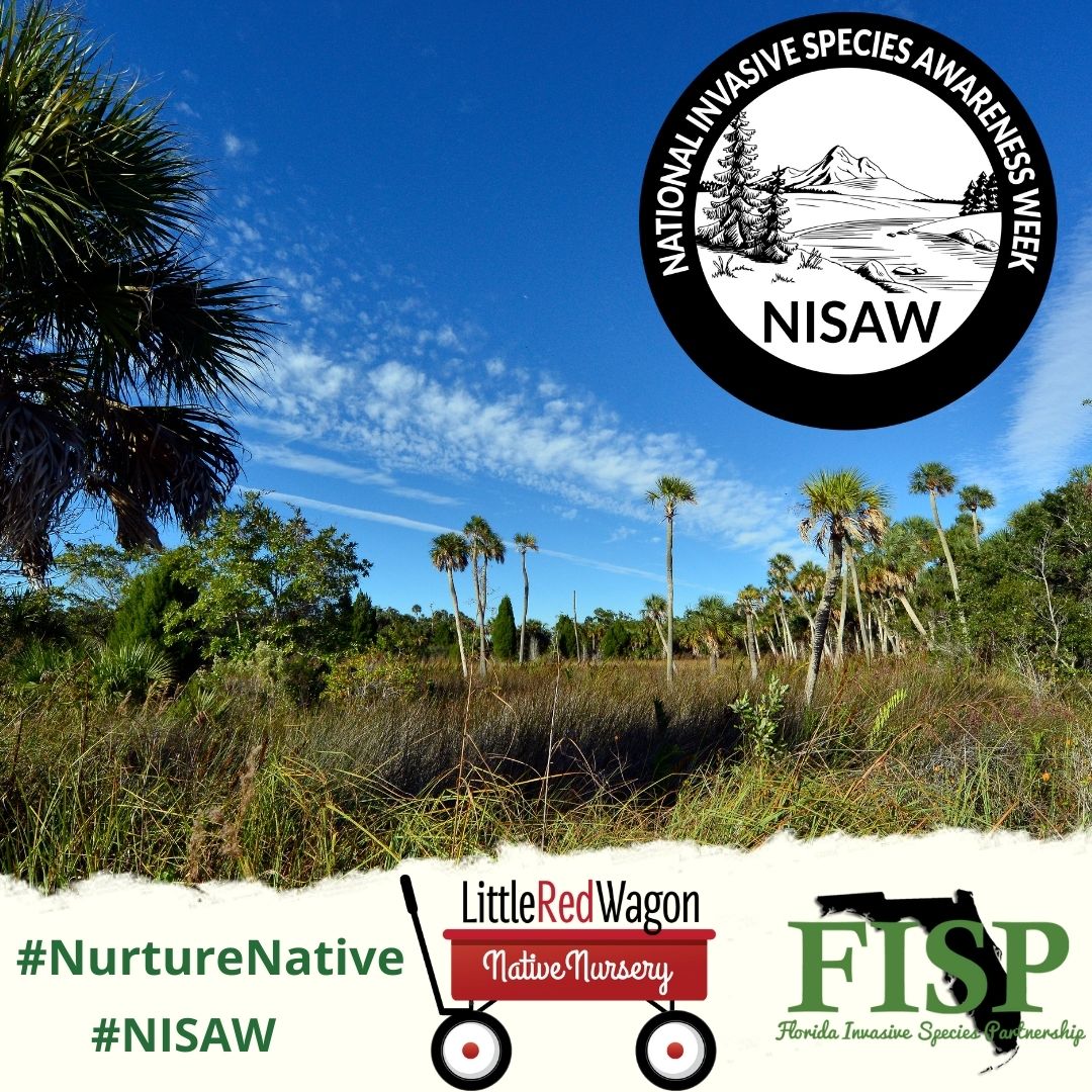 Nurture Native and Combat Invasive Species – Little Red Wagon Native ...