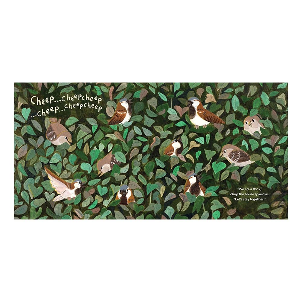 Birds Have A Lot to Say Picture Book for Children – Little Red Wagon ...