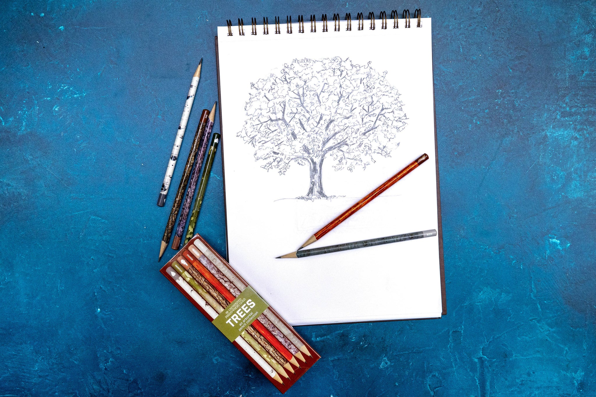 Trees Pencil Set – Little Red Wagon Native Nursery