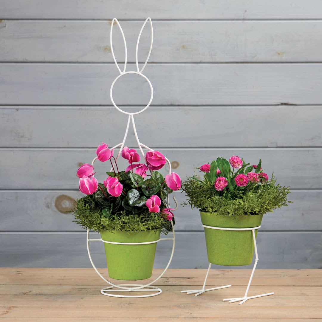 Green Chicken Feet Planter Stand w/ Pot – Little Red Wagon Native Nursery