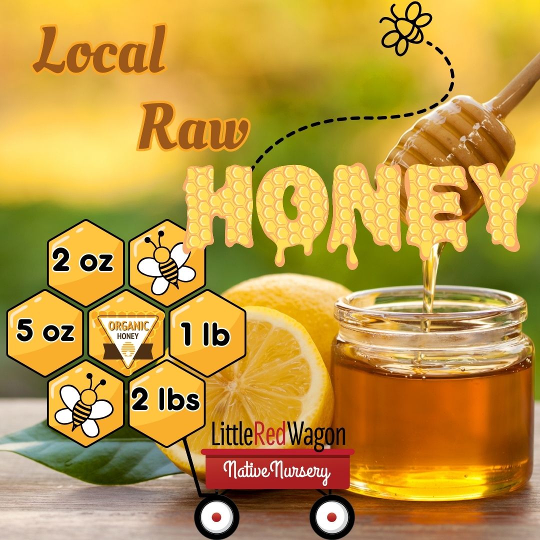 Wildflower Honey – Little Red Wagon Native Nursery