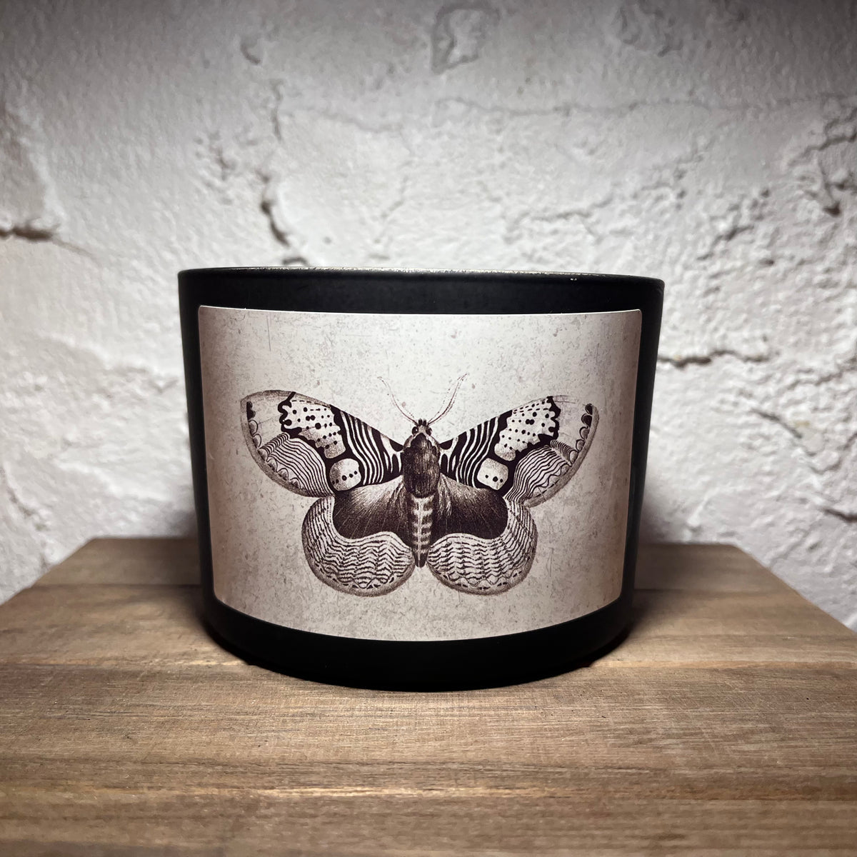 Candle - Moth – Little Red Wagon Native Nursery