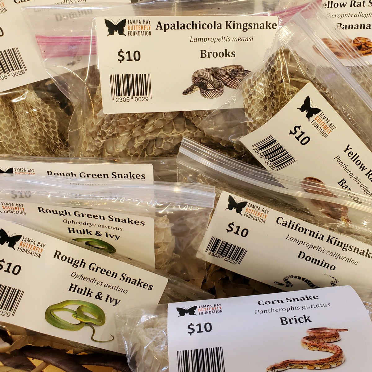 Snake Skin Shed – Little Red Wagon Native Nursery