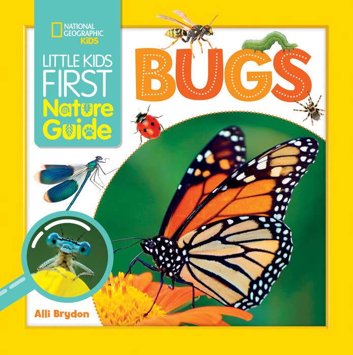 Little Kids First Nature Guide BUGS – Little Red Wagon Native Nursery