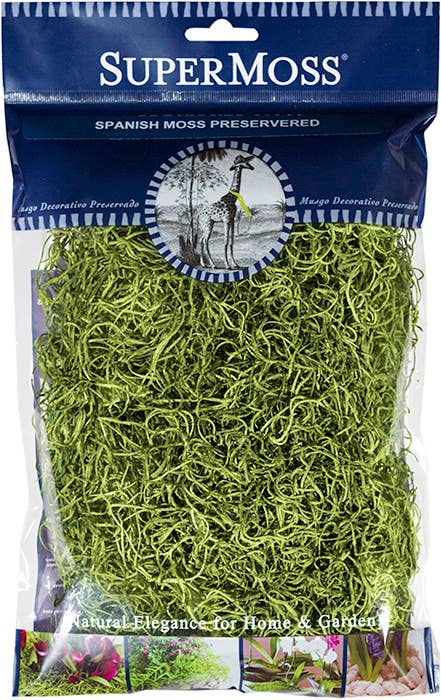 Preserved Spanish Moss – Little Red Wagon Native Nursery