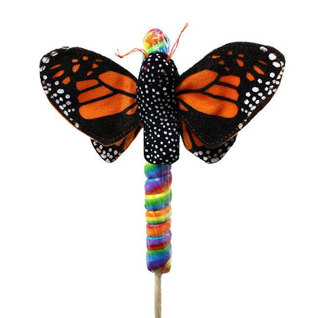 Butterfly on Candy Pop – Little Red Wagon Native Nursery