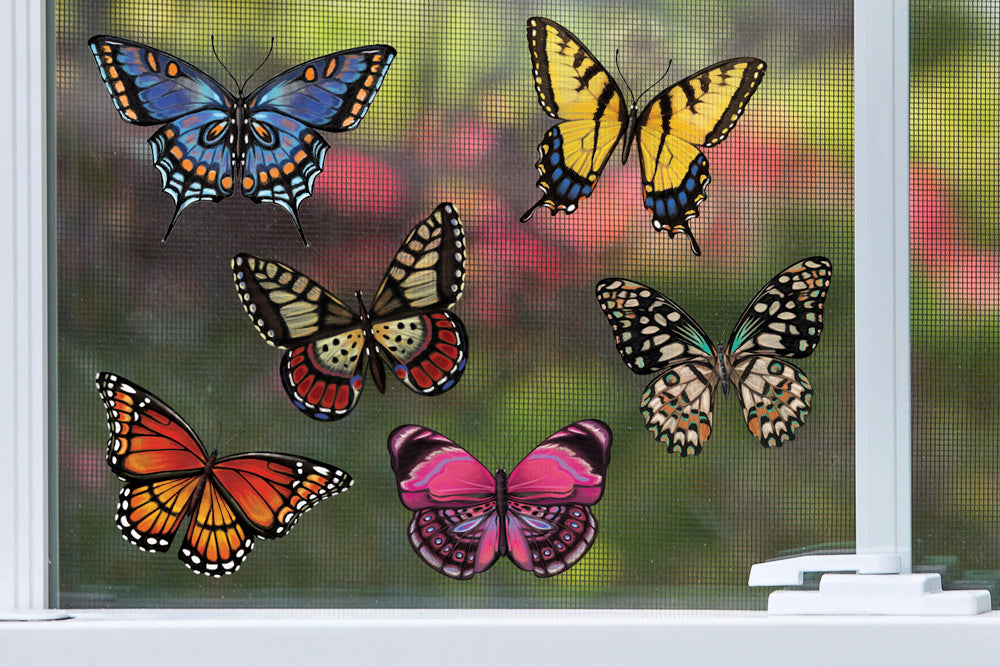 Radiant Butterflies Screen Savers – Little Red Wagon Native Nursery